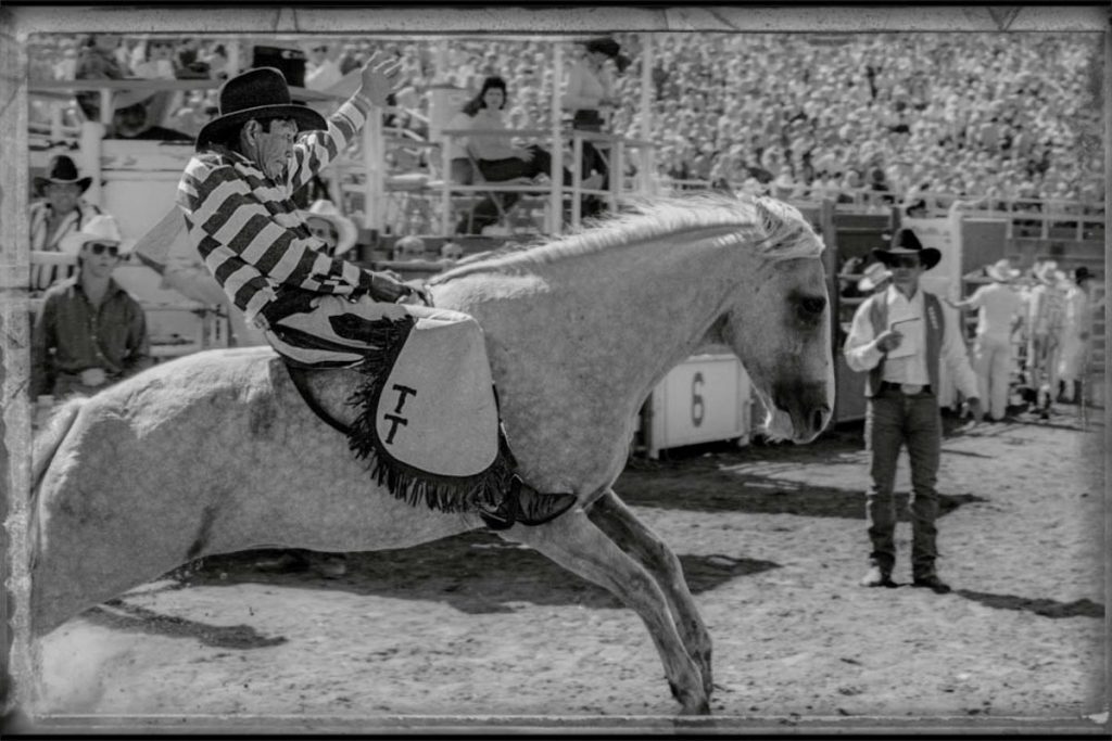 DanDanThePhotoMan – Location Photographer Dallas Texas